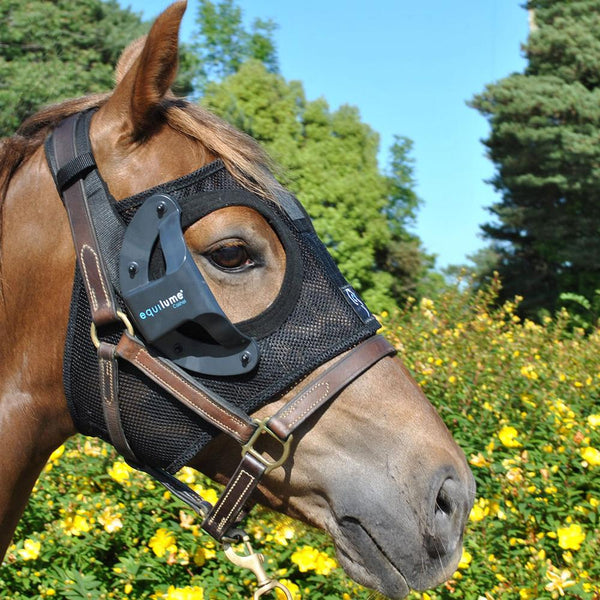 Equilume masks - Racetrack Veterinary Services